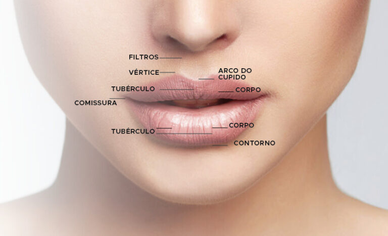 Aspectos da anatomia labial a serem considerados para um preenchimento ...