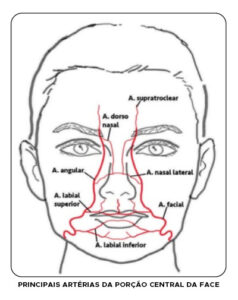 Aspectos da anatomia labial a serem considerados para um preenchimento ...